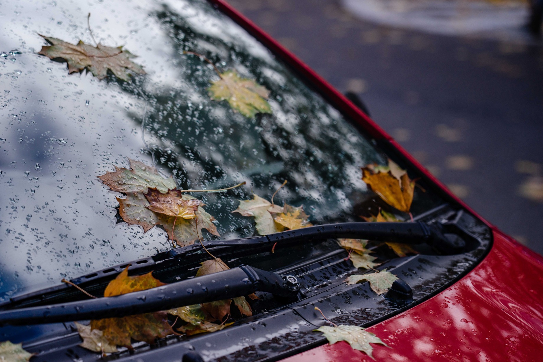 automašīnas sagatavošana ziemai kā pareizi sagatavot automobili ziemai